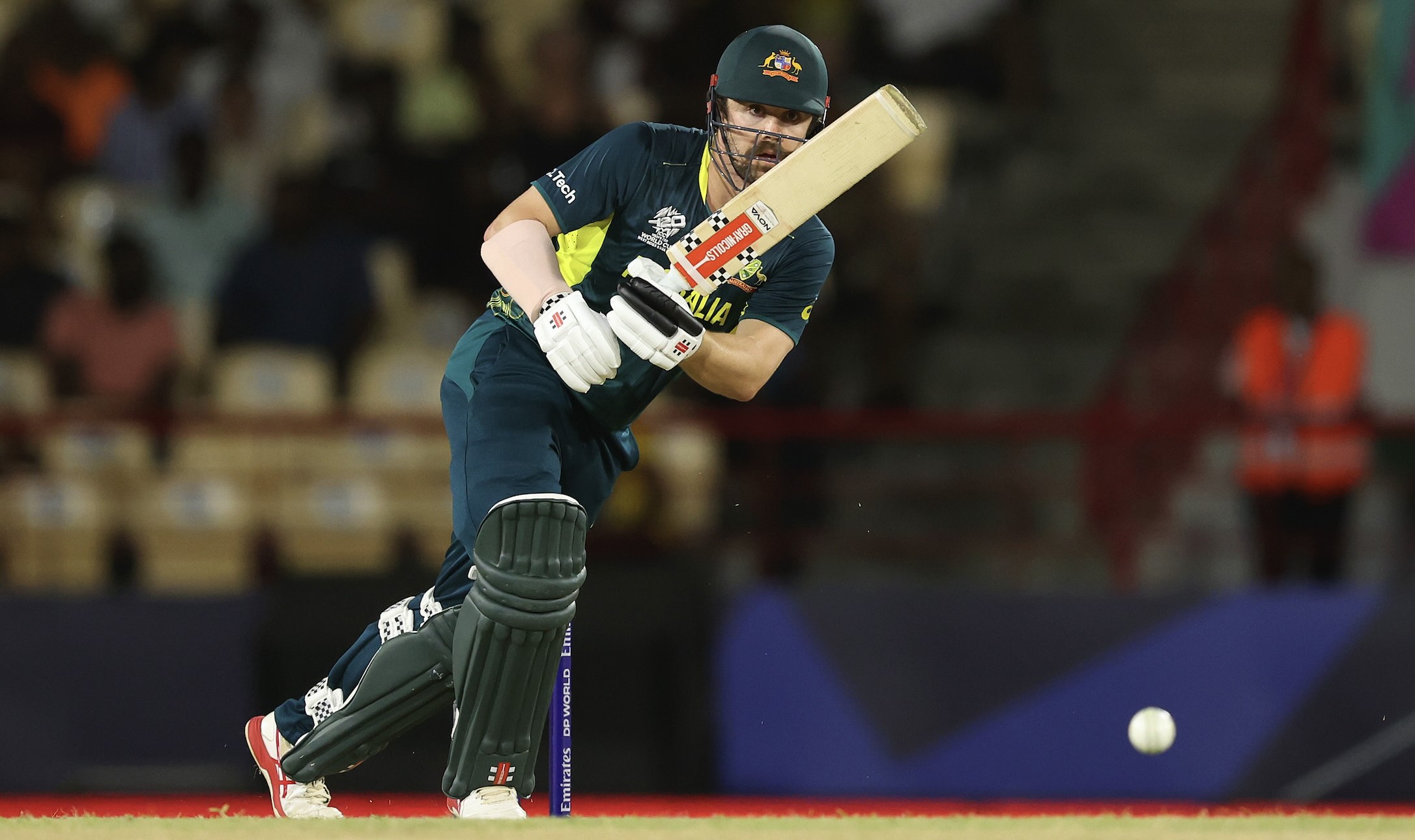 Highlights: Australia vs Scotland (T20 World Cup)