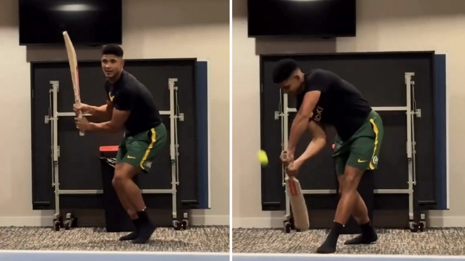 Watch: Springbok flyhalf shows off cricket skills